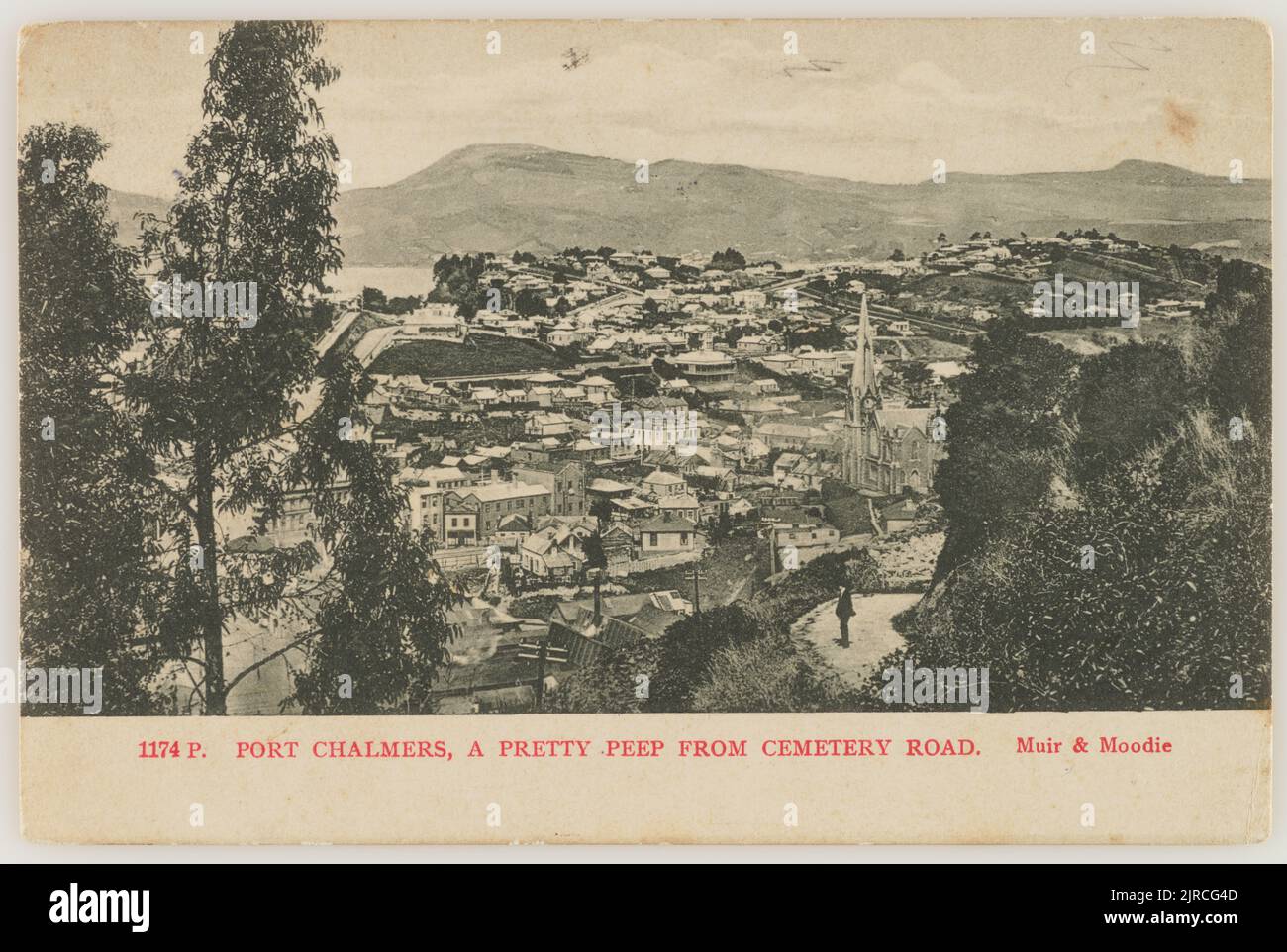 Port Chalmers, a pretty peep from Cemetery road, 1905, Dunedin, by Muir ...