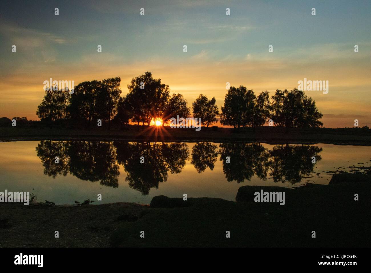 The new forest sunset hi-res stock photography and images - Alamy