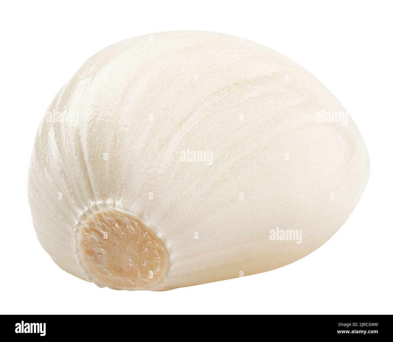 garlic, isolated on white background, clipping path, full depth of ...