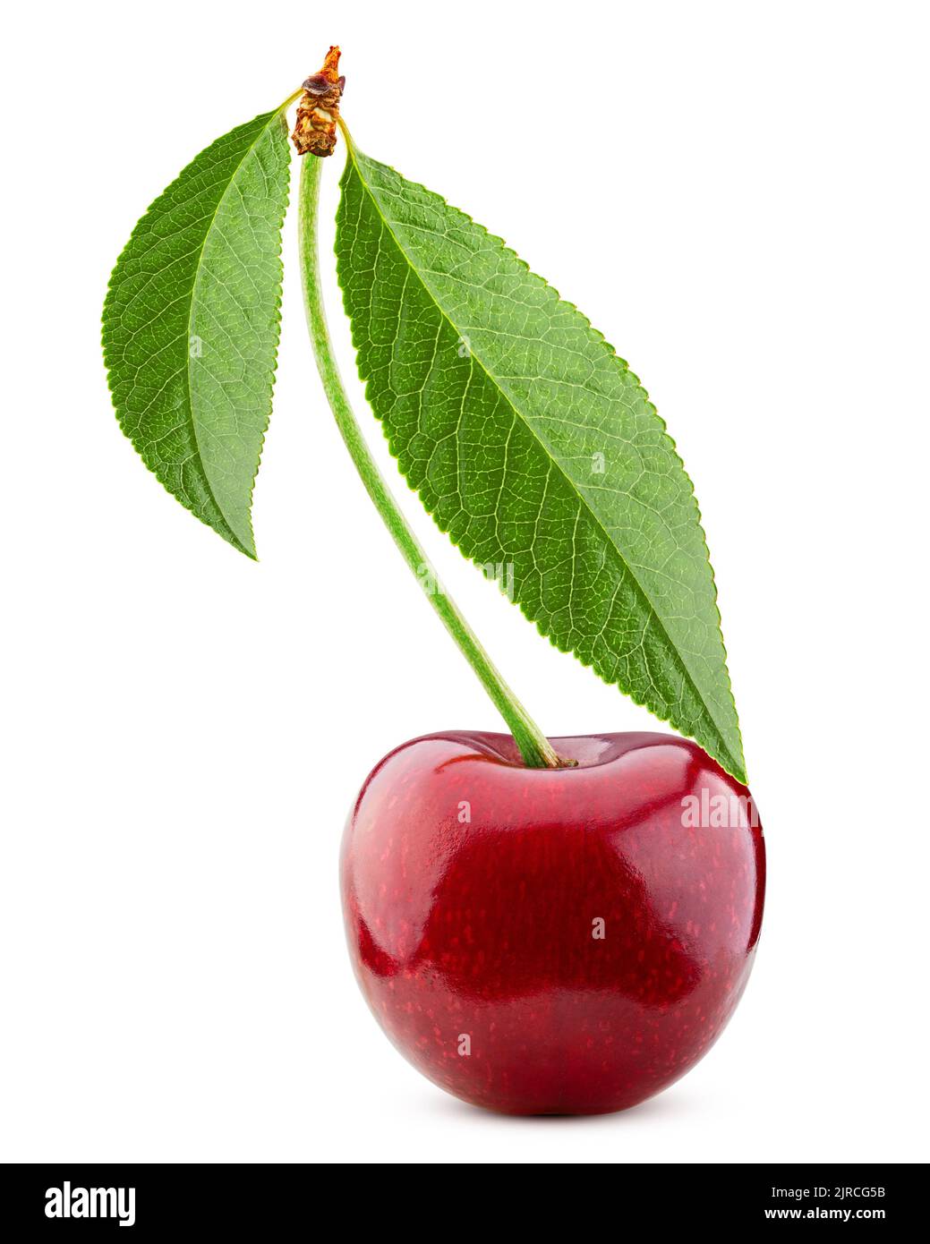 cherry isolated on white background, full depth of field, clipping path ...