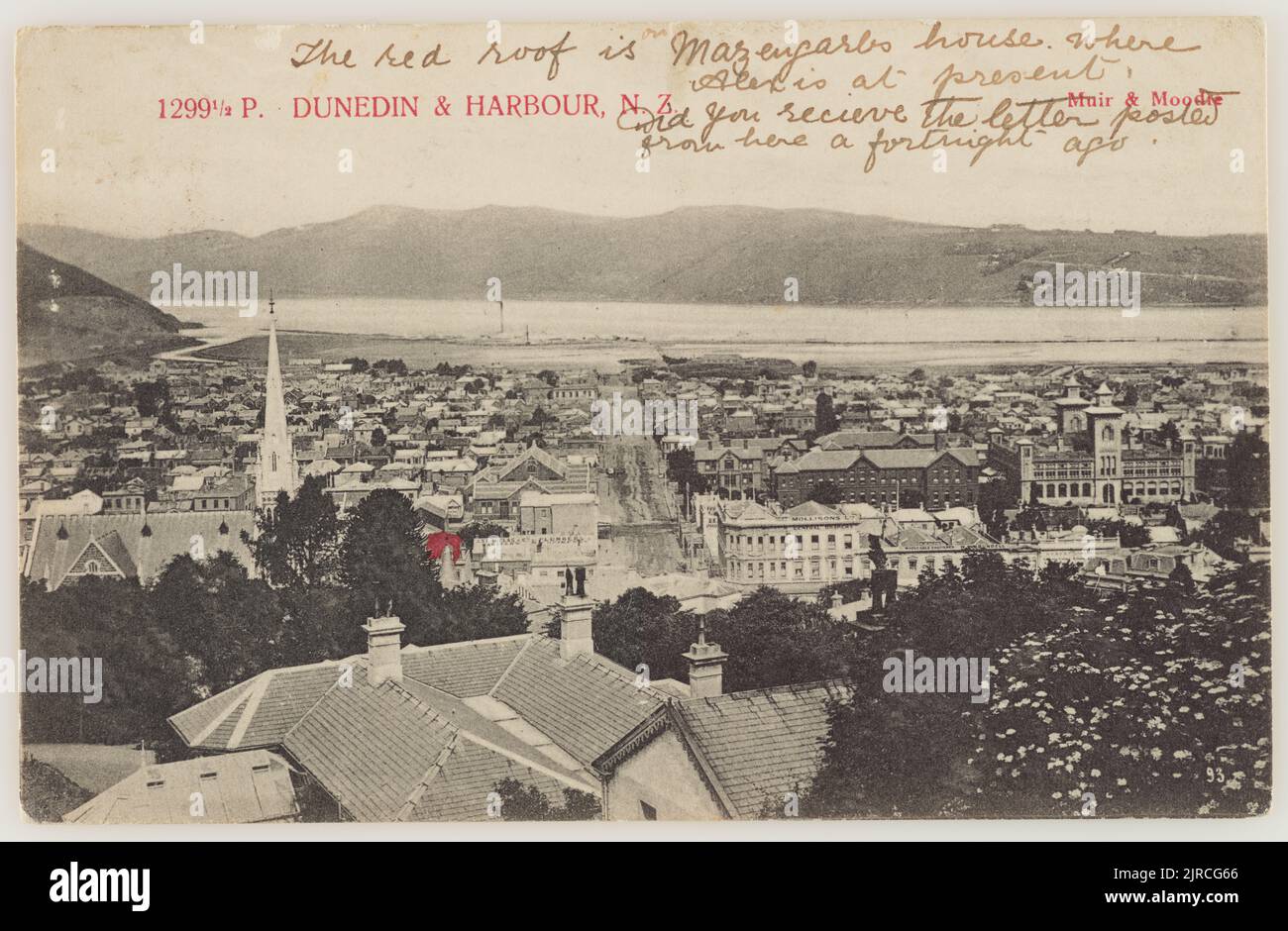 Dunedin and Harbour, New Zealand, 1905, Dunedin, by Muir & Moodie Stock ...