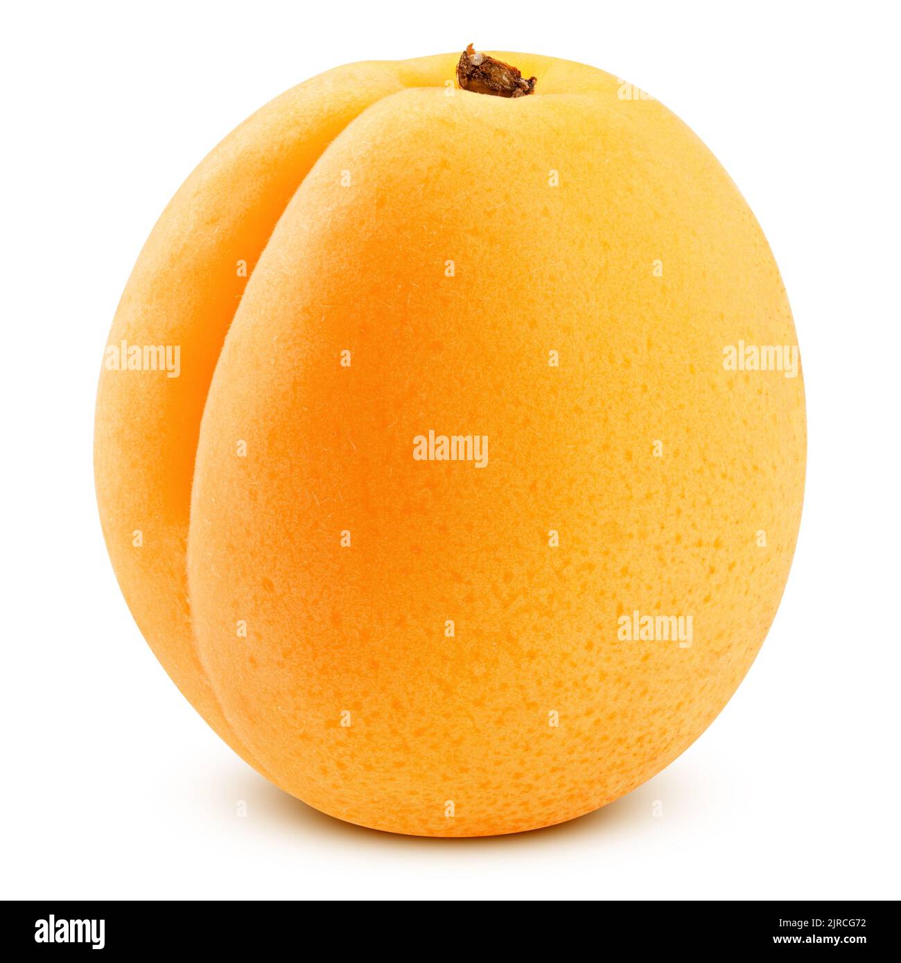 apricot isolated on white background, clipping path, full depth of ...