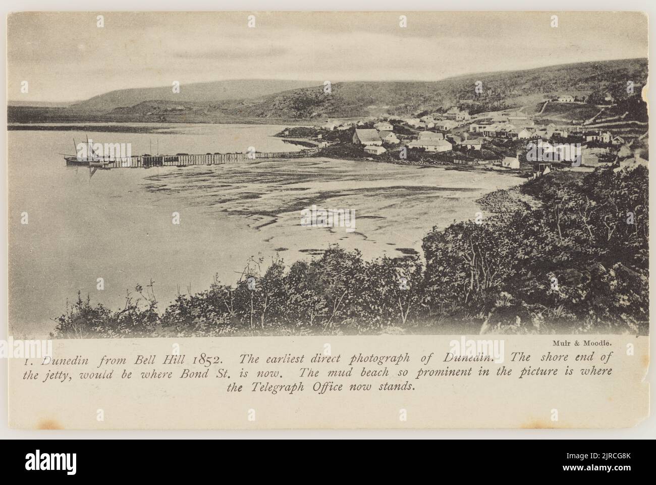 1852 dunedin from bell hill hi-res stock photography and images - Alamy