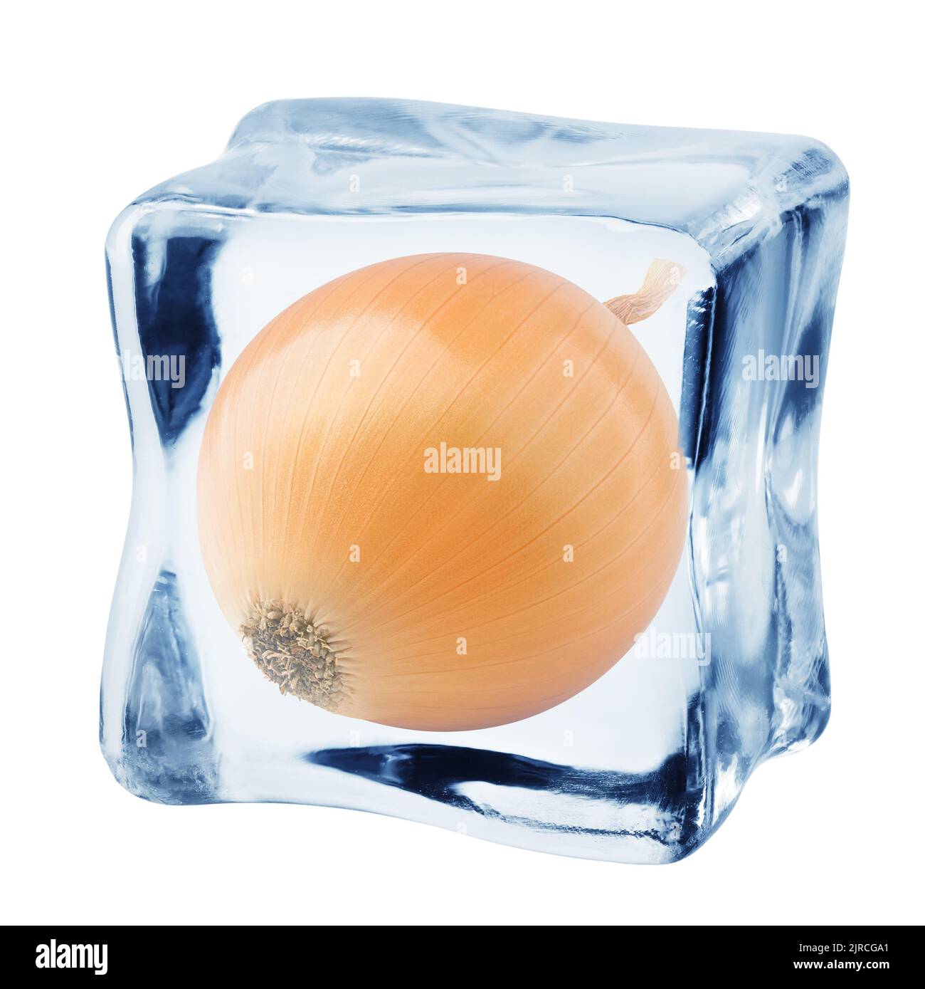 onion in ice cube, isolated on white background, clipping path, full ...
