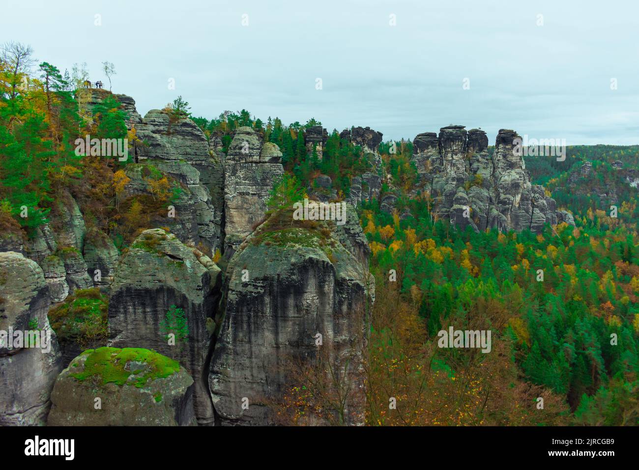 Saxon Switzerland Mountains With Beautiful Green Trees 2 Stock Photo ...