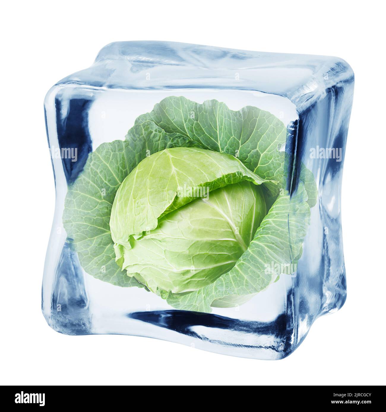 cabbage in ice cube, isolated on white background, clipping path, full depth of field Stock ...