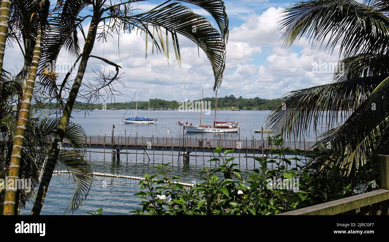 Changi point coastal walk hi-res stock photography and images - Alamy