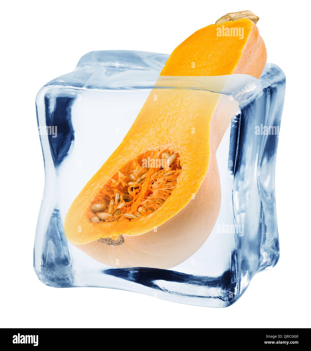 pumpkin butternut squash in ice cube, isolated on white background ...