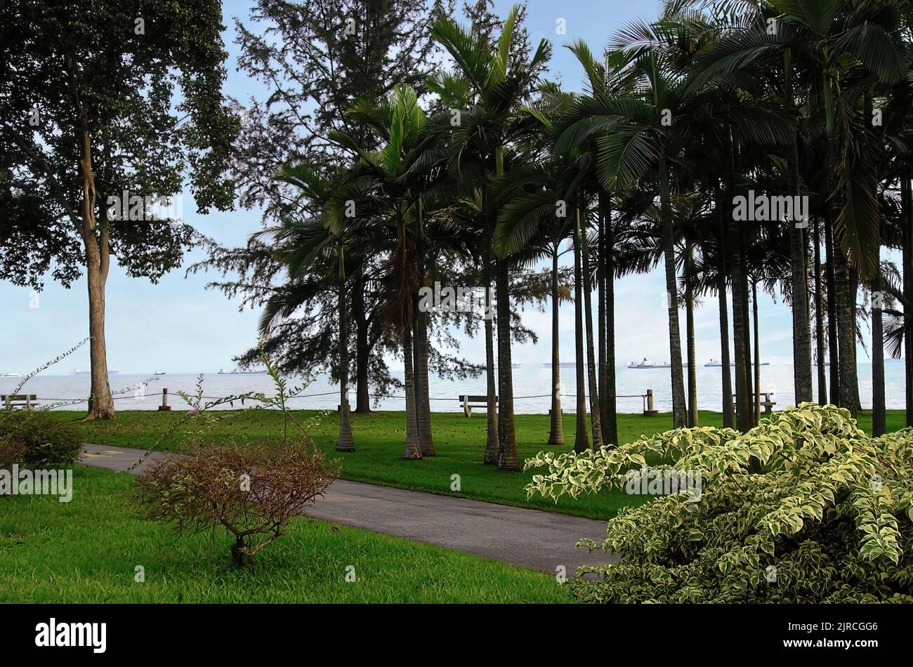 Singapore, Changi Point Boardwalk (1 Stock Photo - Alamy