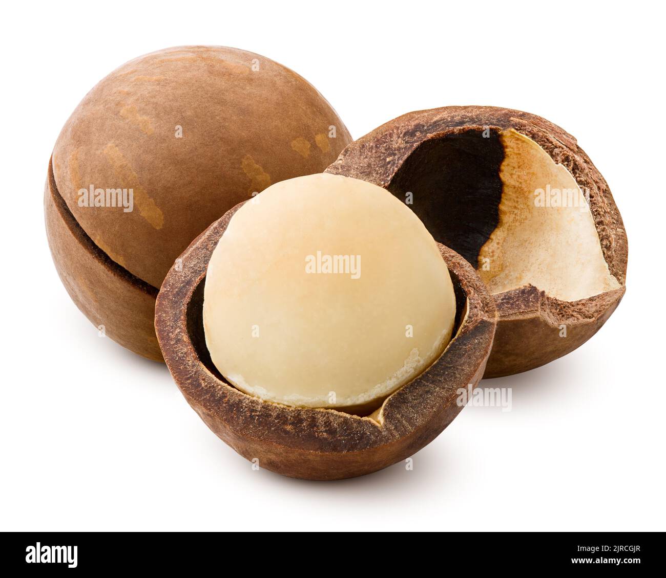 macadamia, nut, isolated on white background, clipping path, full depth ...
