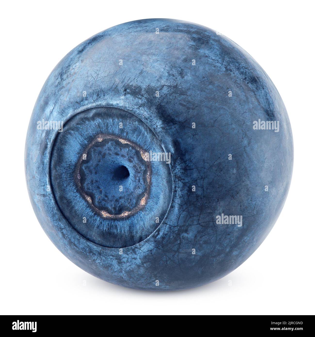 blueberry, isolated on white background, clipping path, full depth of ...
