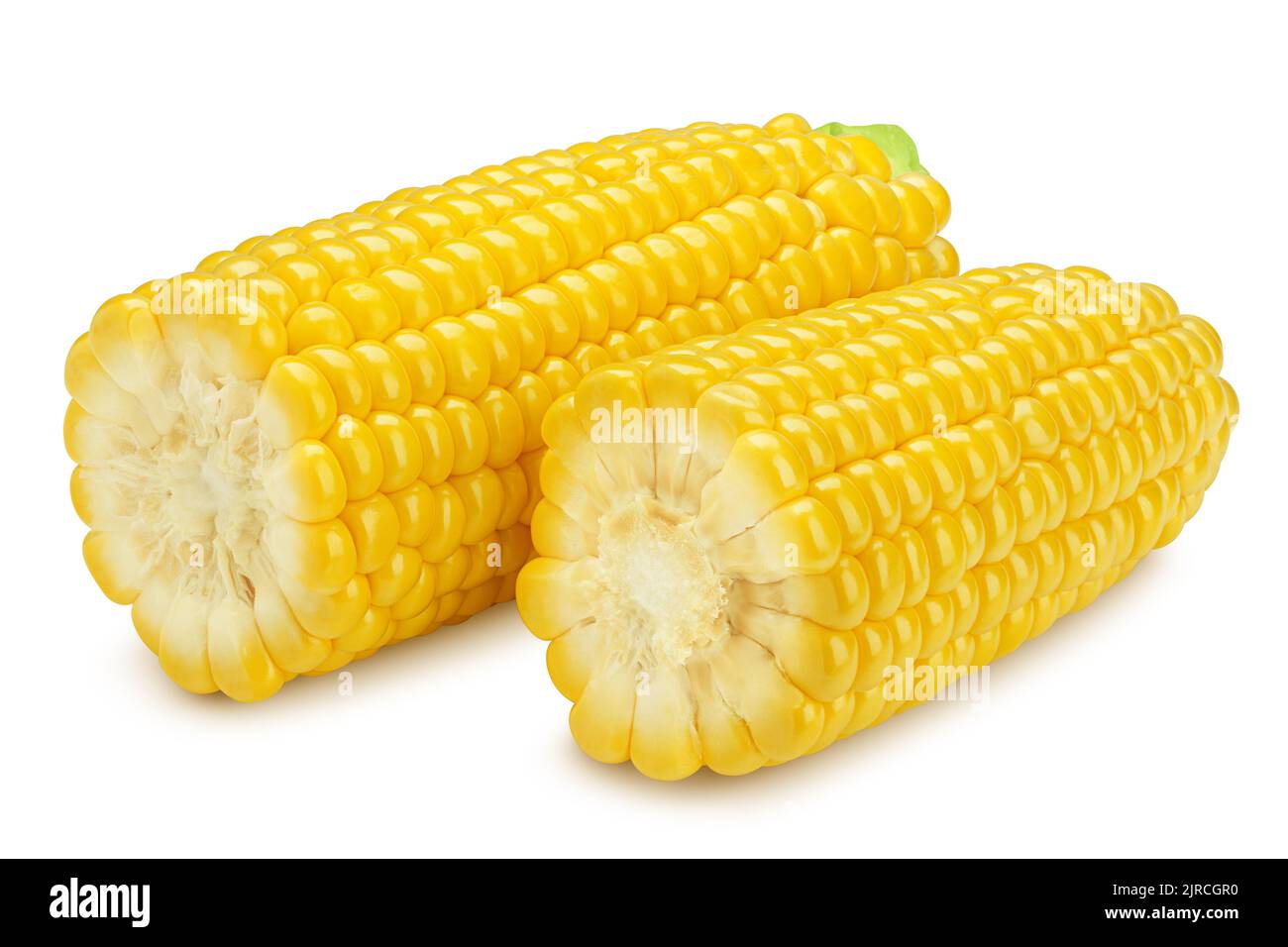 corn ear, isolated on white background, clipping path, full depth of ...