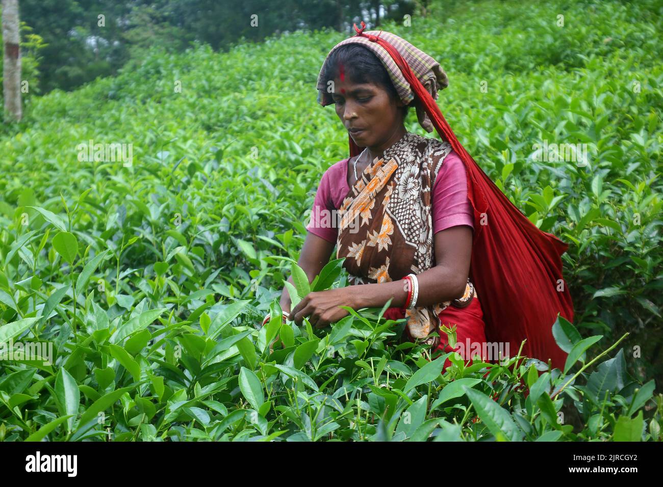 22082022 hi-res stock photography and images - Alamy