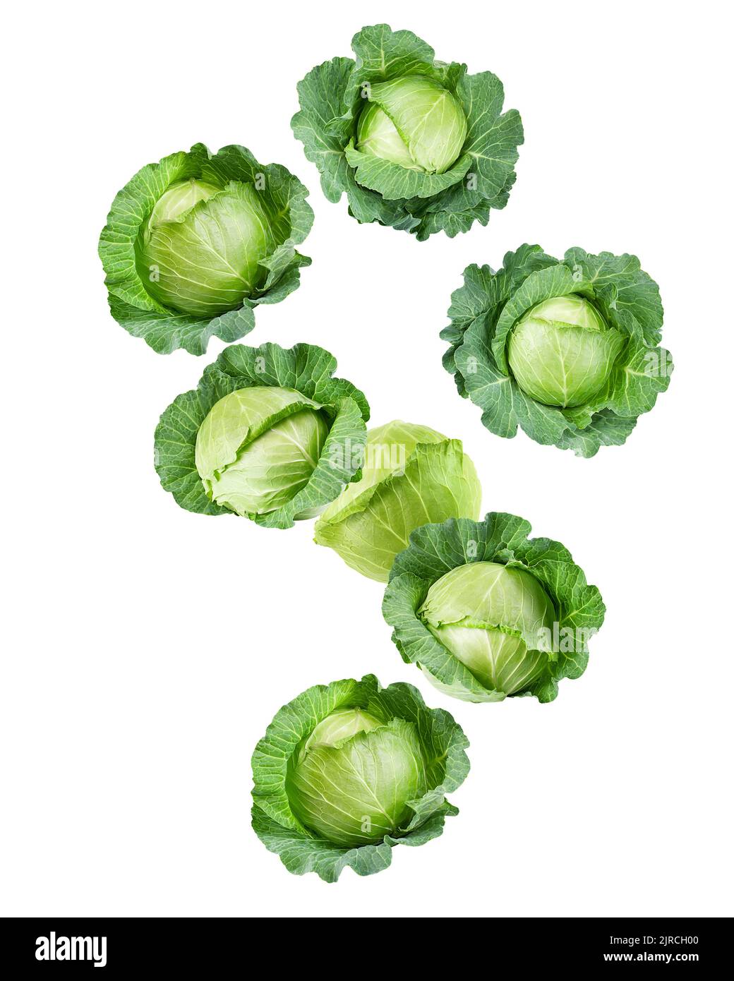 Falling cabbage isolated on white background, clipping path, full depth ...