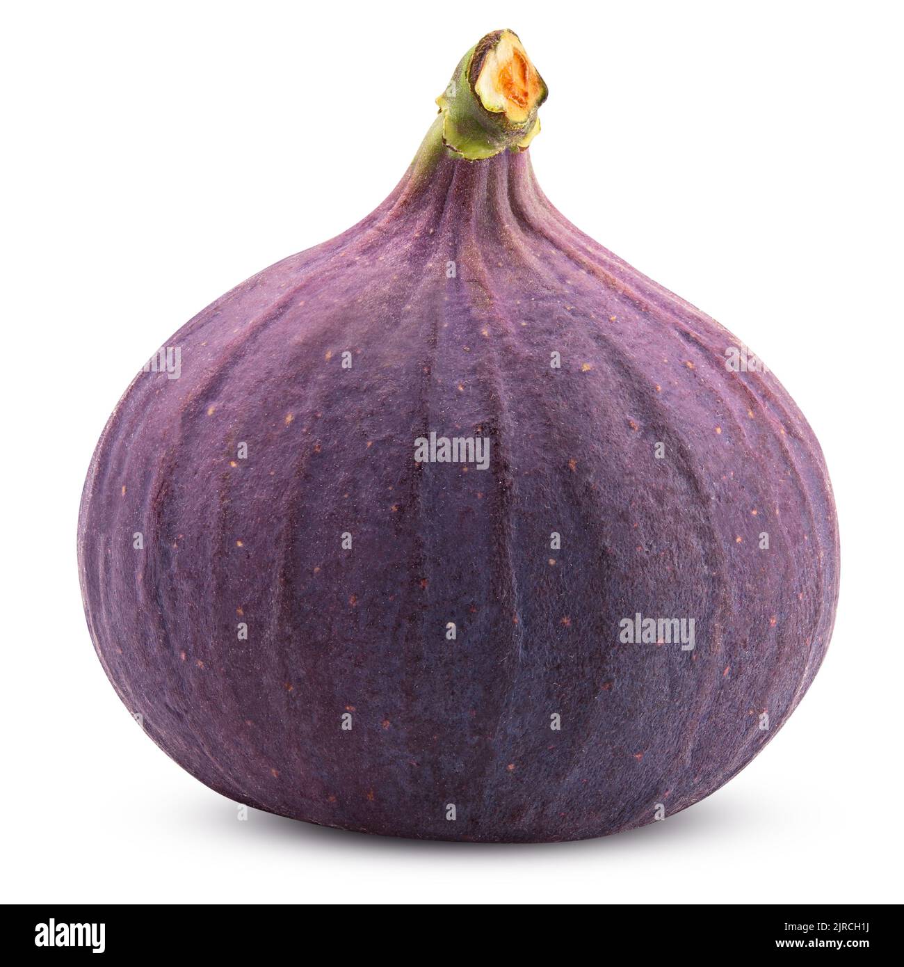 fig isolated on white background, clipping path, full depth of field ...