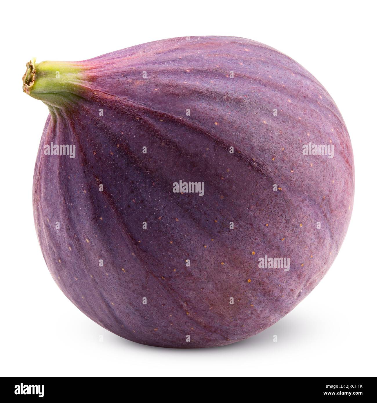 fig isolated on white background, clipping path, full depth of field ...