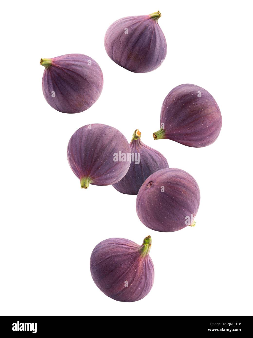 Falling fig isolated on white background, clipping path, full depth of ...