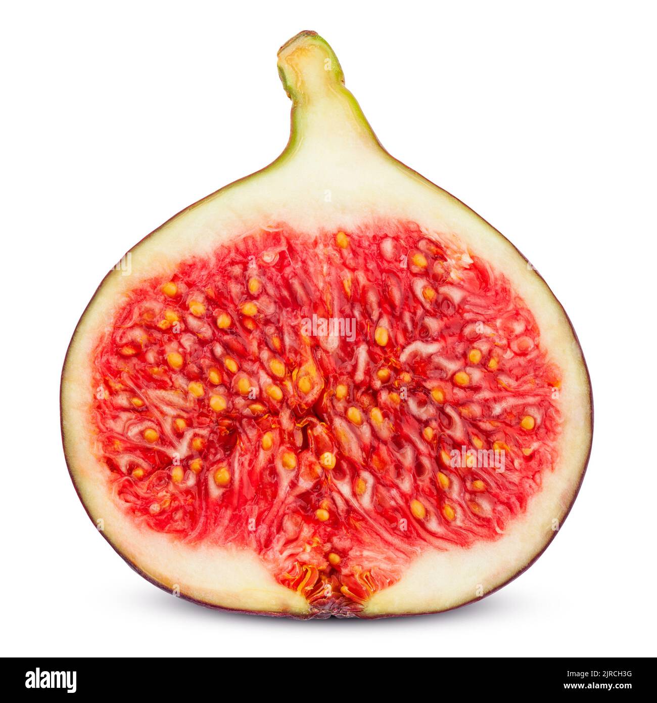 fig isolated on white background, clipping path, full depth of field ...