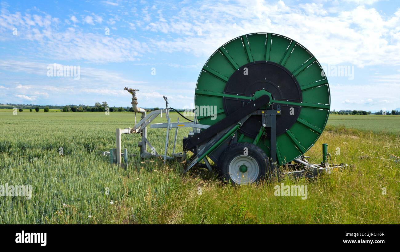 Agricultural irrigation system with a big hose reel in front of a wheat ...