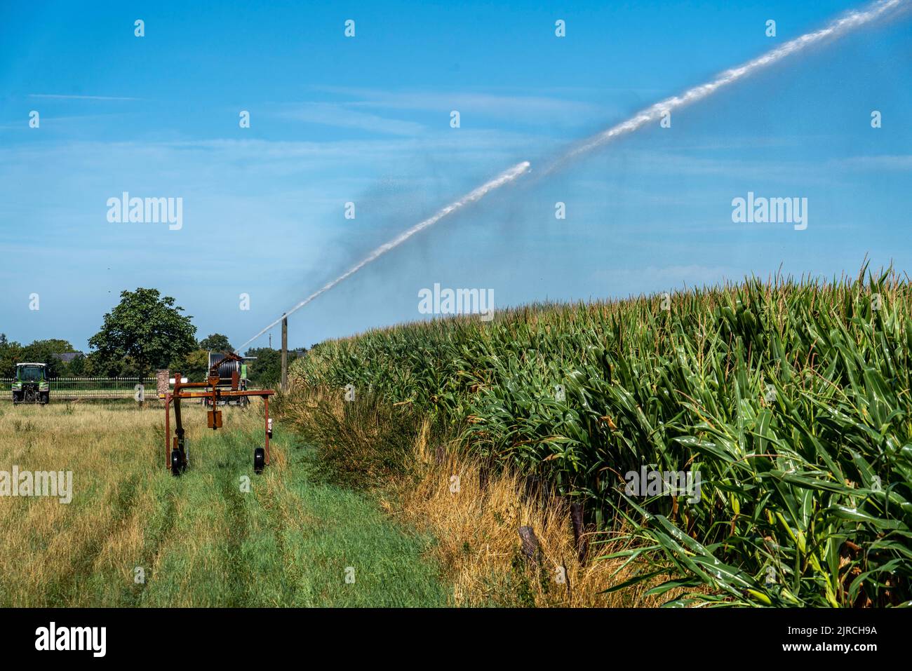 A field is artificially irrigated, water is sprayed onto the field via ...