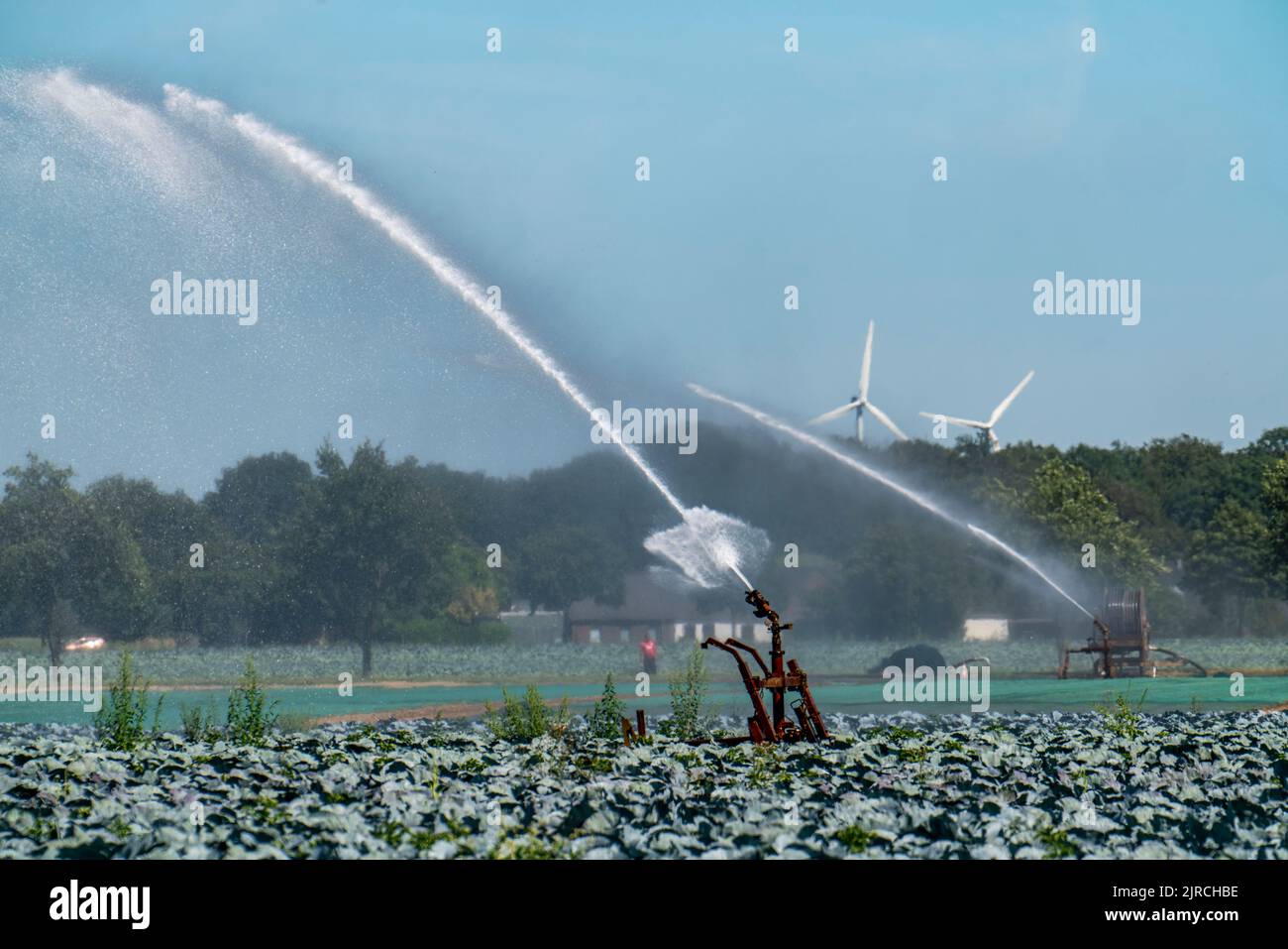 A field is artificially irrigated, water is sprayed onto the field via ...