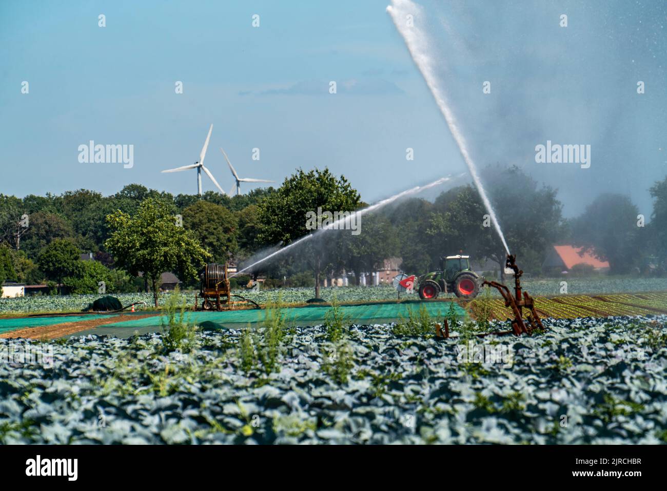 A field is artificially irrigated, water is sprayed onto the field via ...