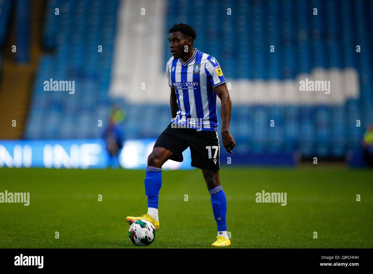 Fisayo Dele-Bashiru #17 of Sheffield Wednesday Stock Photo - Alamy