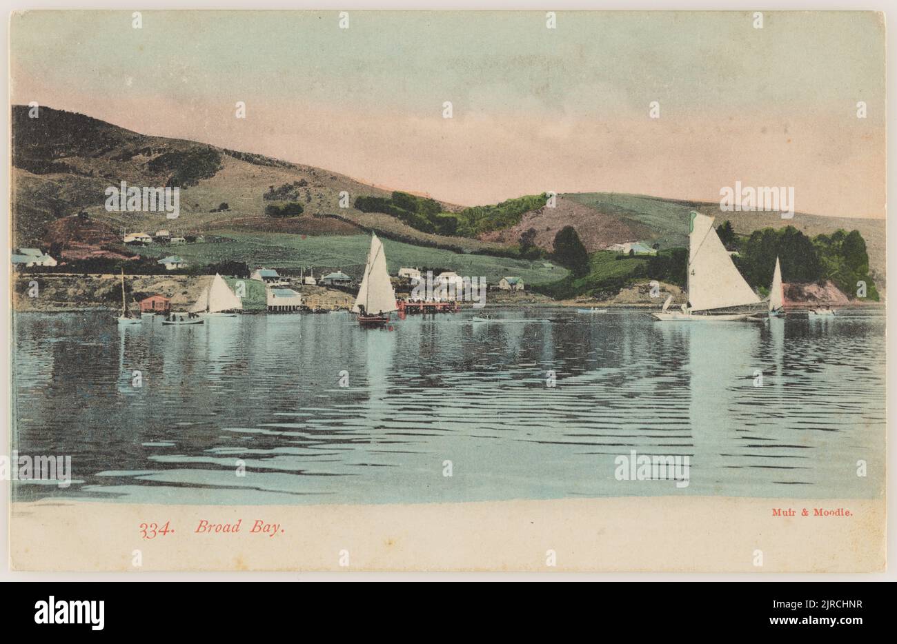 Broad Bay, 1904-1915, Dunedin, by Muir & Moodie Stock Photo - Alamy