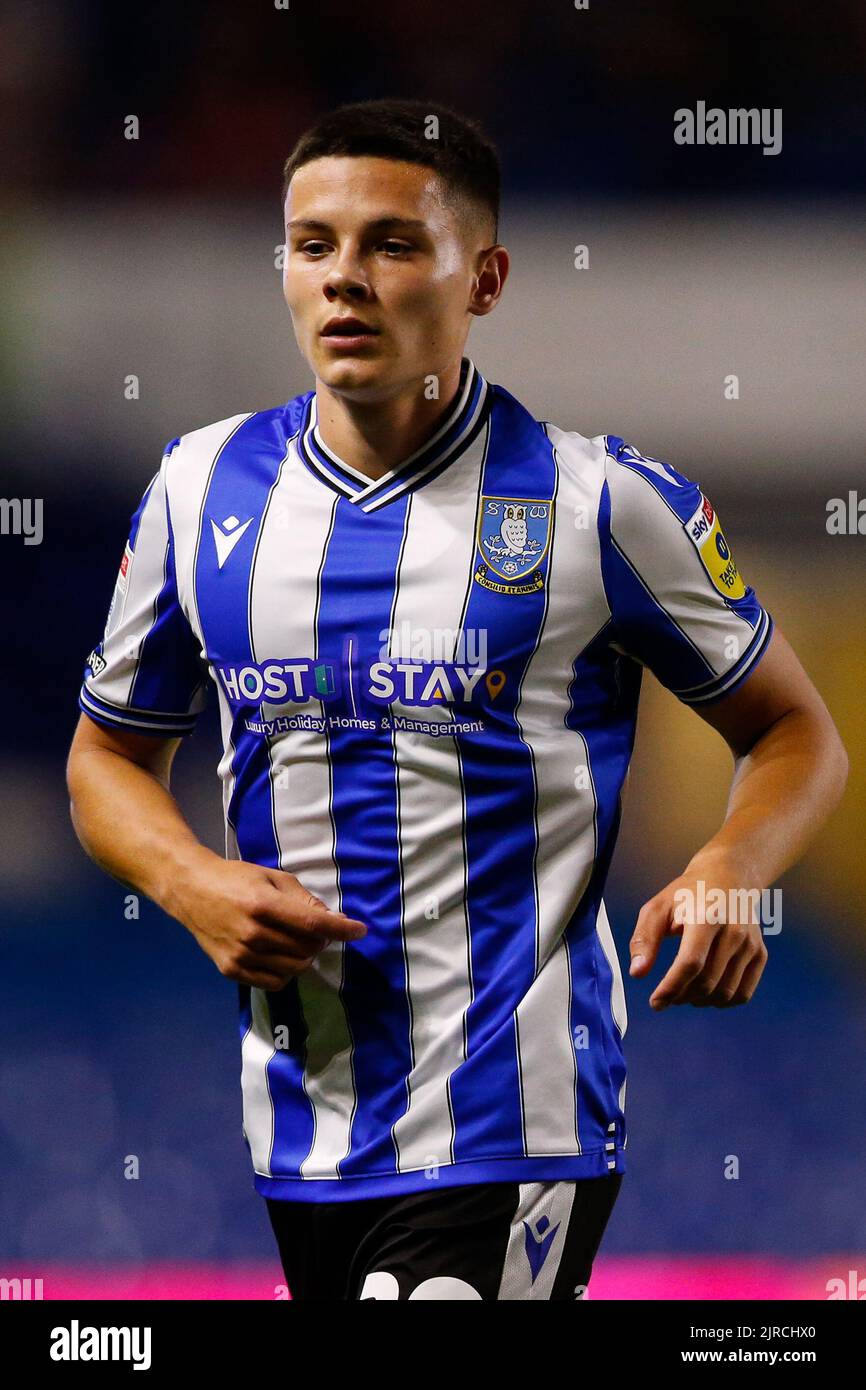 Alex Hunt #29 of Sheffield Wednesday Stock Photo - Alamy