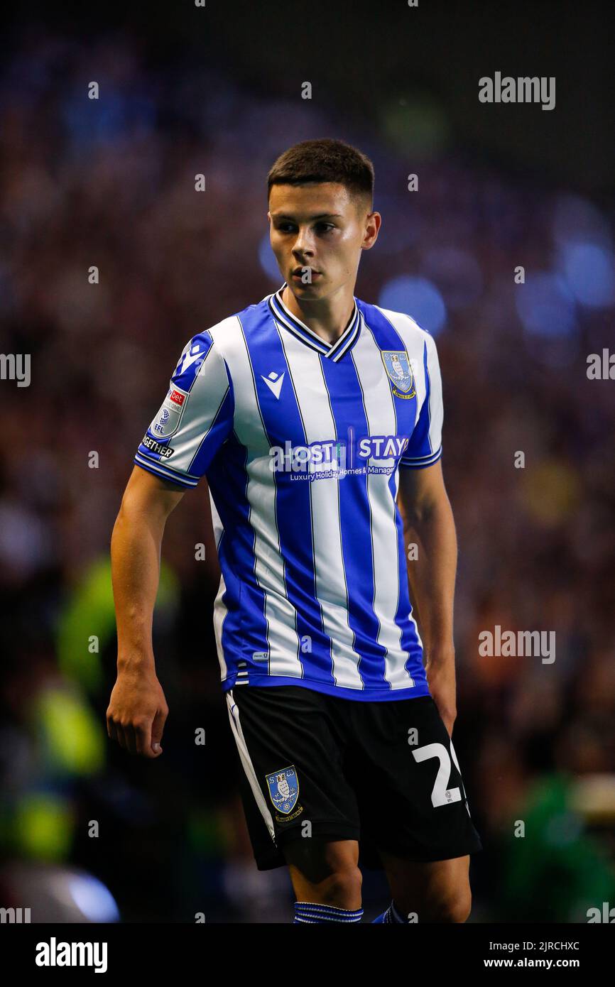 Alex Hunt #29 of Sheffield Wednesday Stock Photo - Alamy