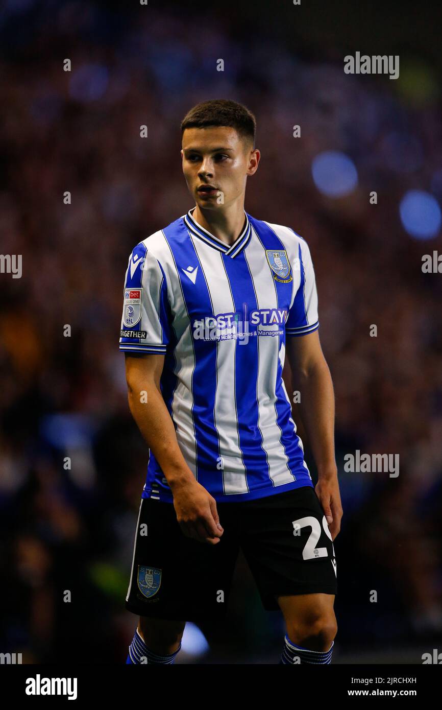 Alex Hunt #29 of Sheffield Wednesday Stock Photo - Alamy