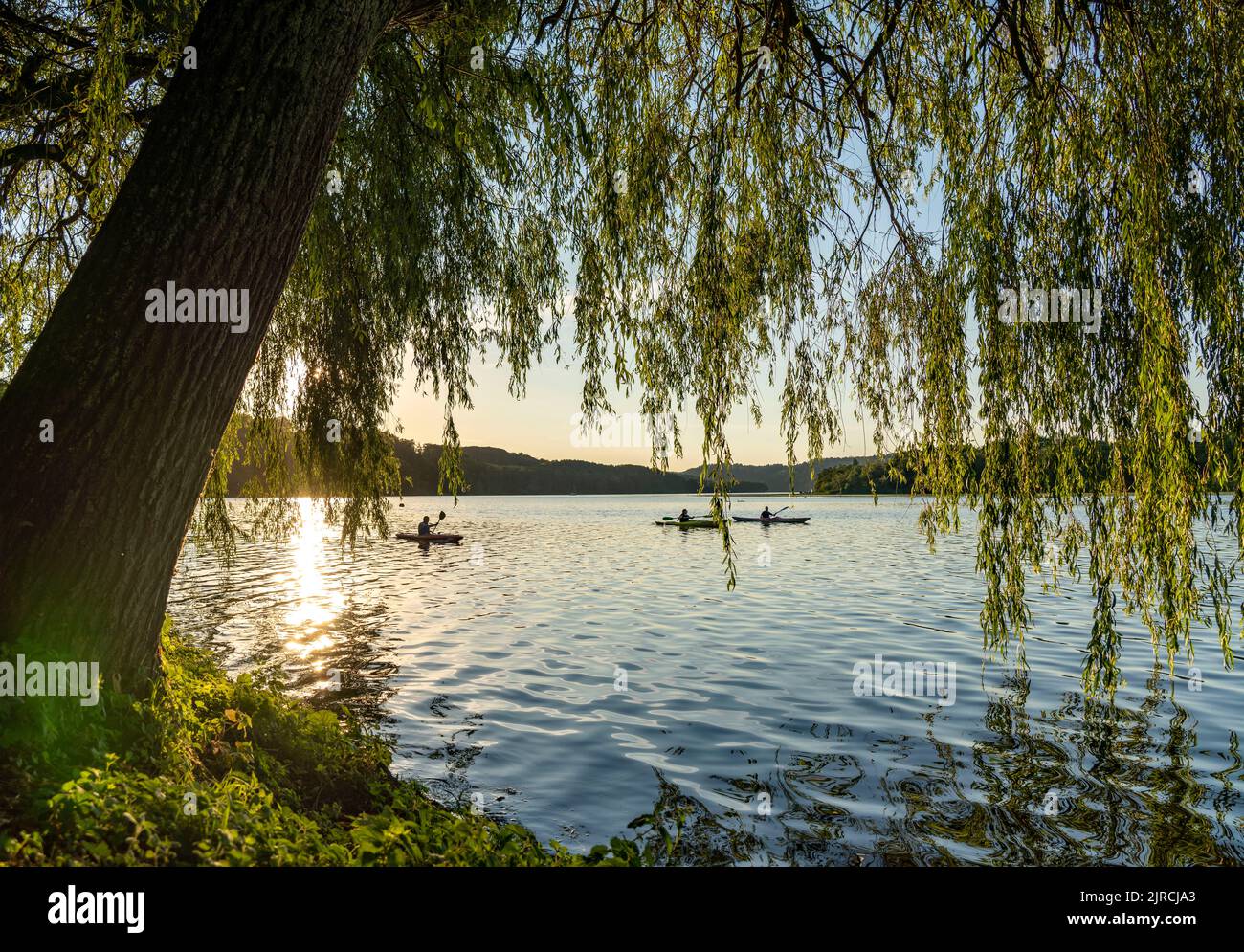 Baldeneysee, kayaks , summer evening on the eastern shore, Essen, NRW ...