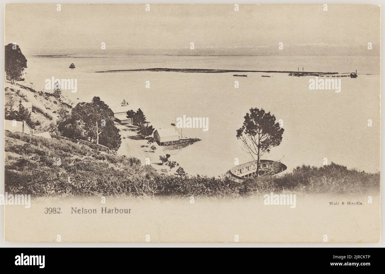 Nelson Harbour, 1904, Nelson, by Muir & Moodie Stock Photo - Alamy