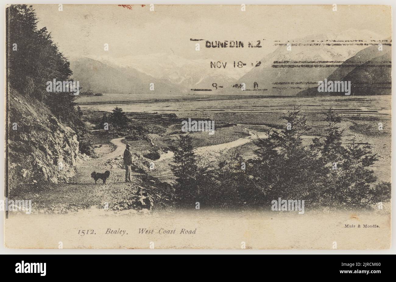 Bealey, West Coast Road, 1900-1903, West Coast, by Muir & Moodie Stock Photo - Alamy