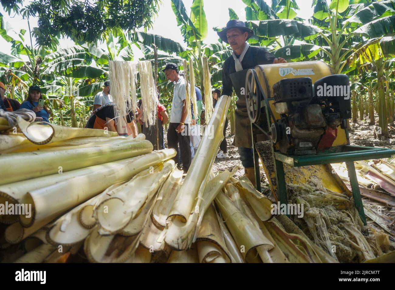 Cabuyaro, Colombia. 21st Aug, 2022. A man in Cabuyaro, Meta works in ...
