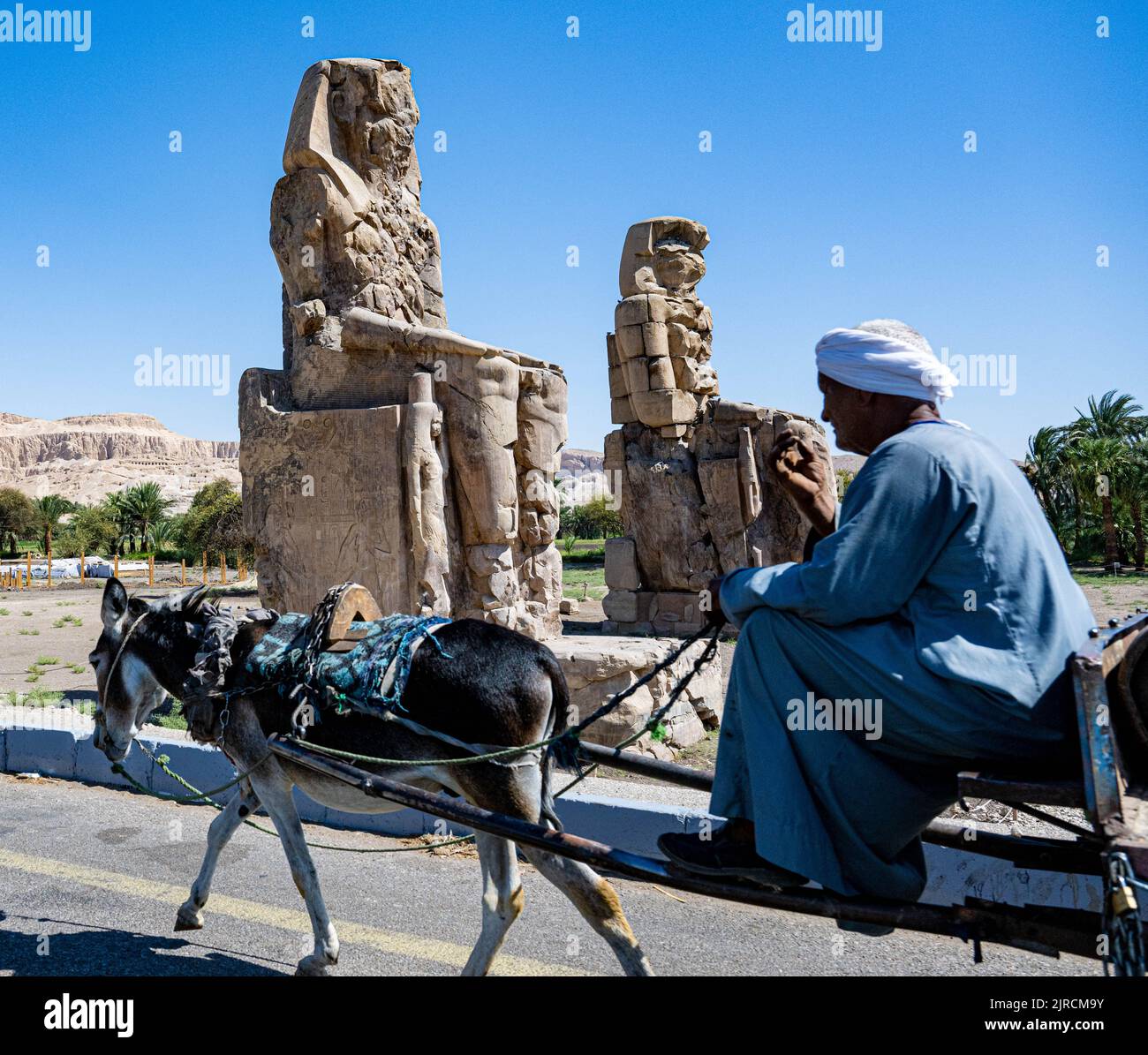 Egyptian man with a donkey, in front of historic monuments Colossi of ...