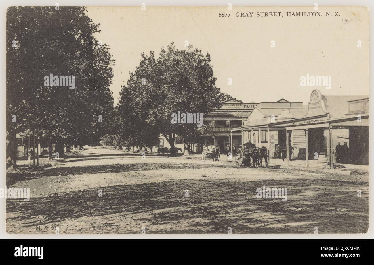 Gray Street, Hamilton, New Zealand, 1909, Hamilton, by Muir & Moodie ...