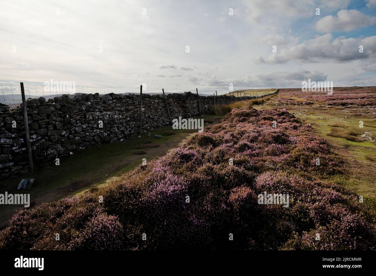 The ridge of Fremington Adge above Swaledale, in the Yorkshire Dales ...