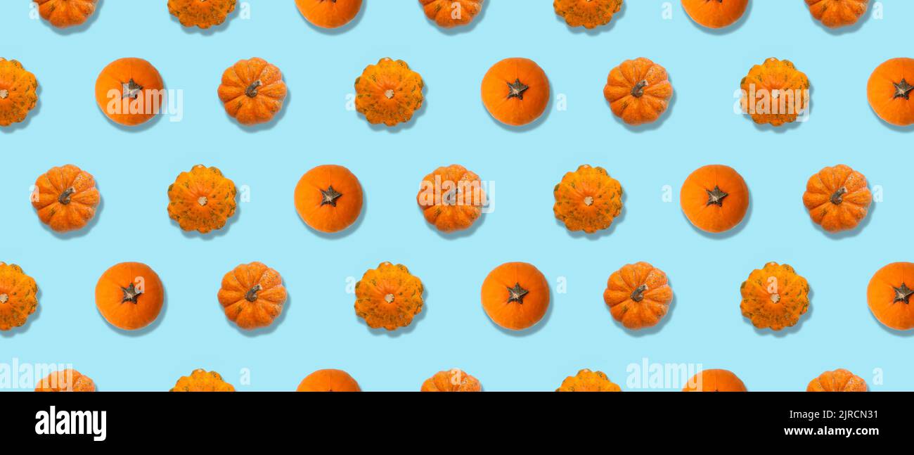 Many pumpkins on light blue background. Pattern for design Stock Photo ...