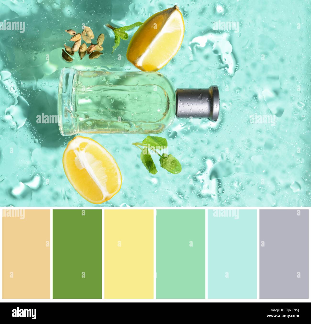 Bottle of perfume, lemon and mint with water drops on turquoise ...