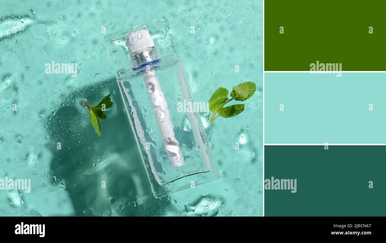 Bottle of perfume and mint with water drops on turquoise background ...