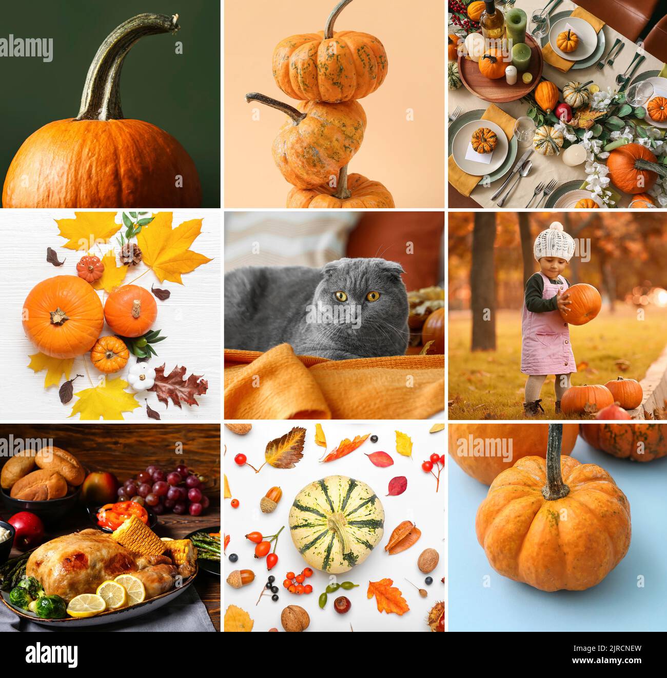 Child setting table thanksgiving hi-res stock photography and images - Alamy