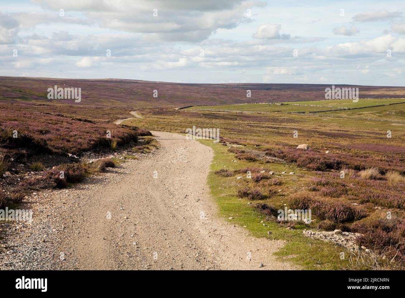 Marrick north yorkshire england hi-res stock photography and images - Alamy
