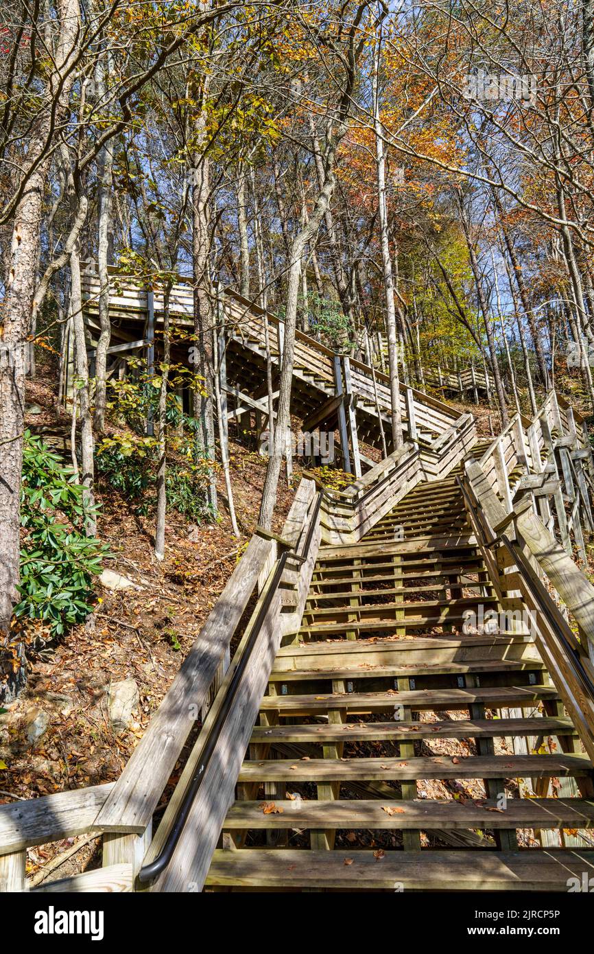 The wooden walkway leading down to overlooks by the Canyon Rim Visitor ...