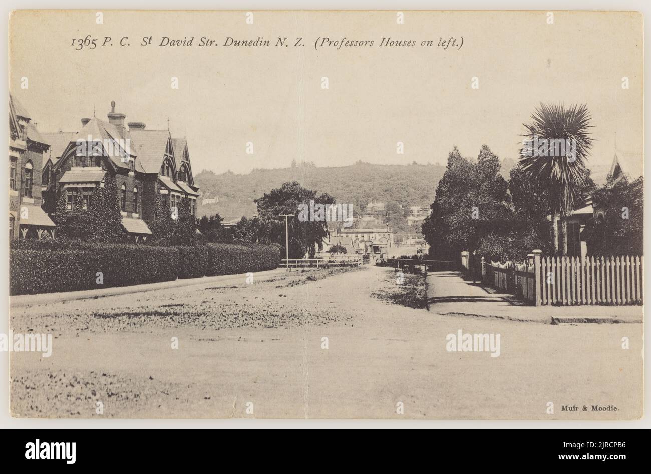 St David Street, Dunedin, New Zealand, 1904-1915, Dunedin, by Muir ...