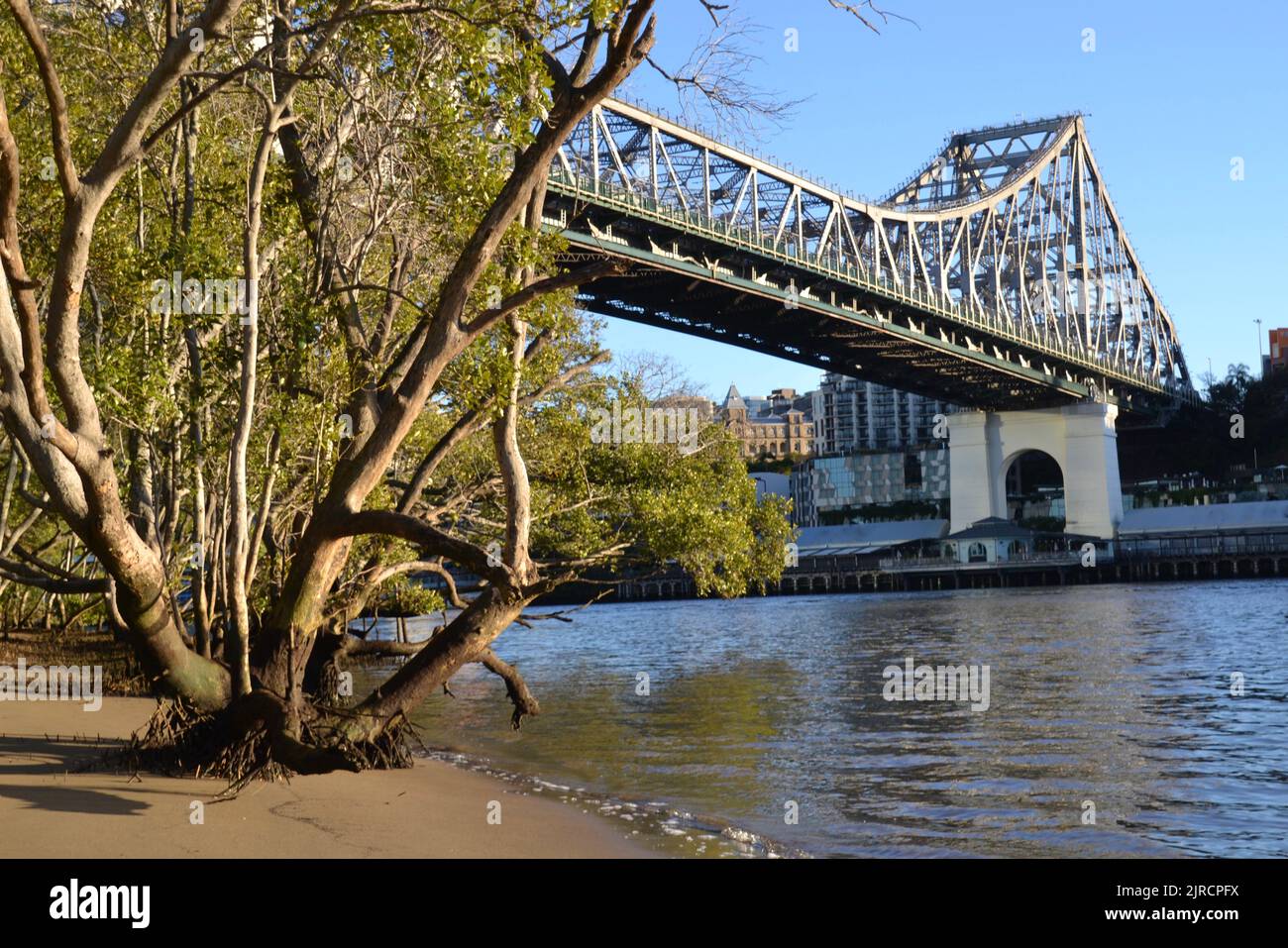 Famous Story Bridge in Brisbane is a steel cantilever highway ...
