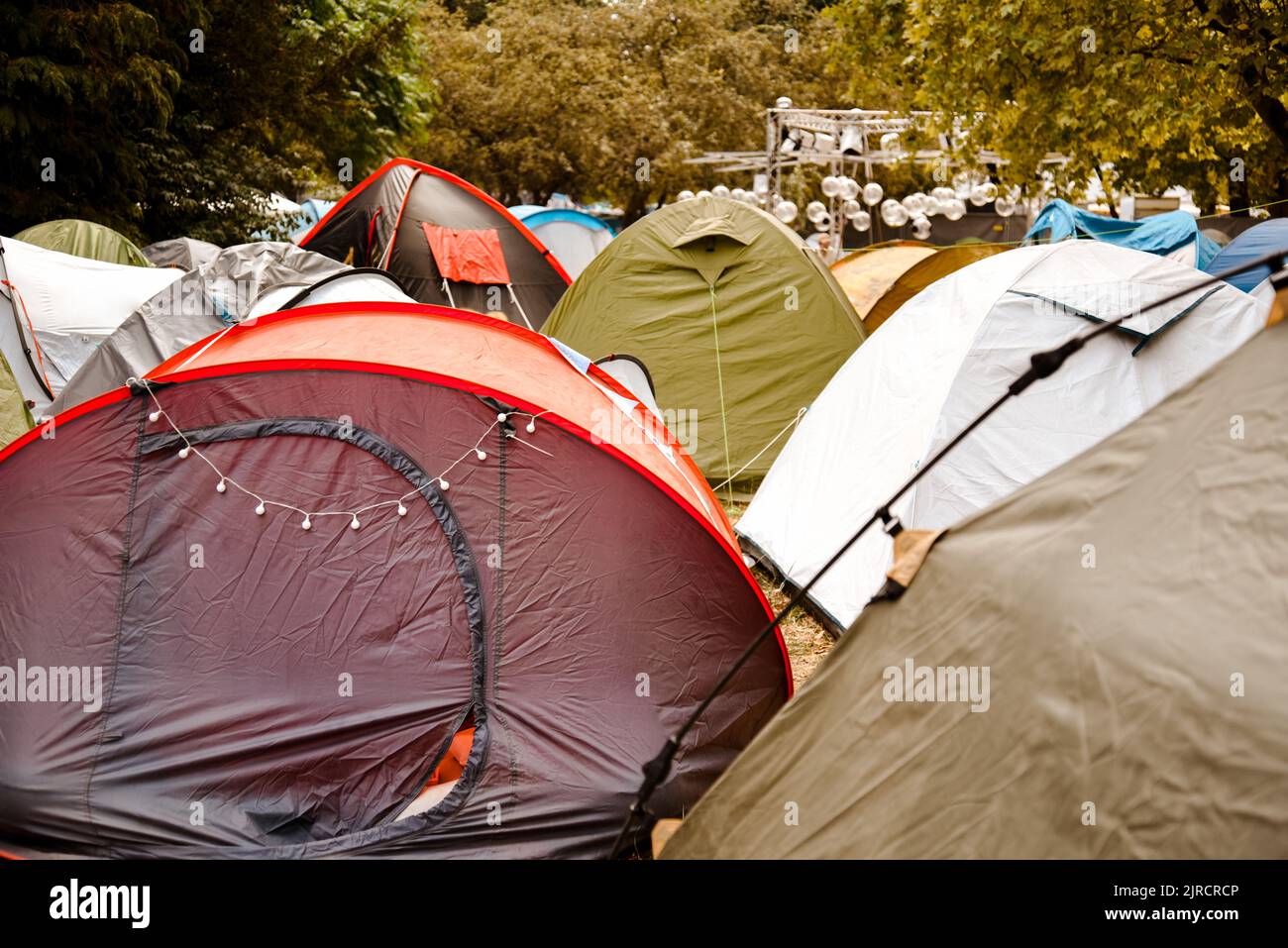 Tent camp in the forest, a lot of tents. Rest in the forest at the ...