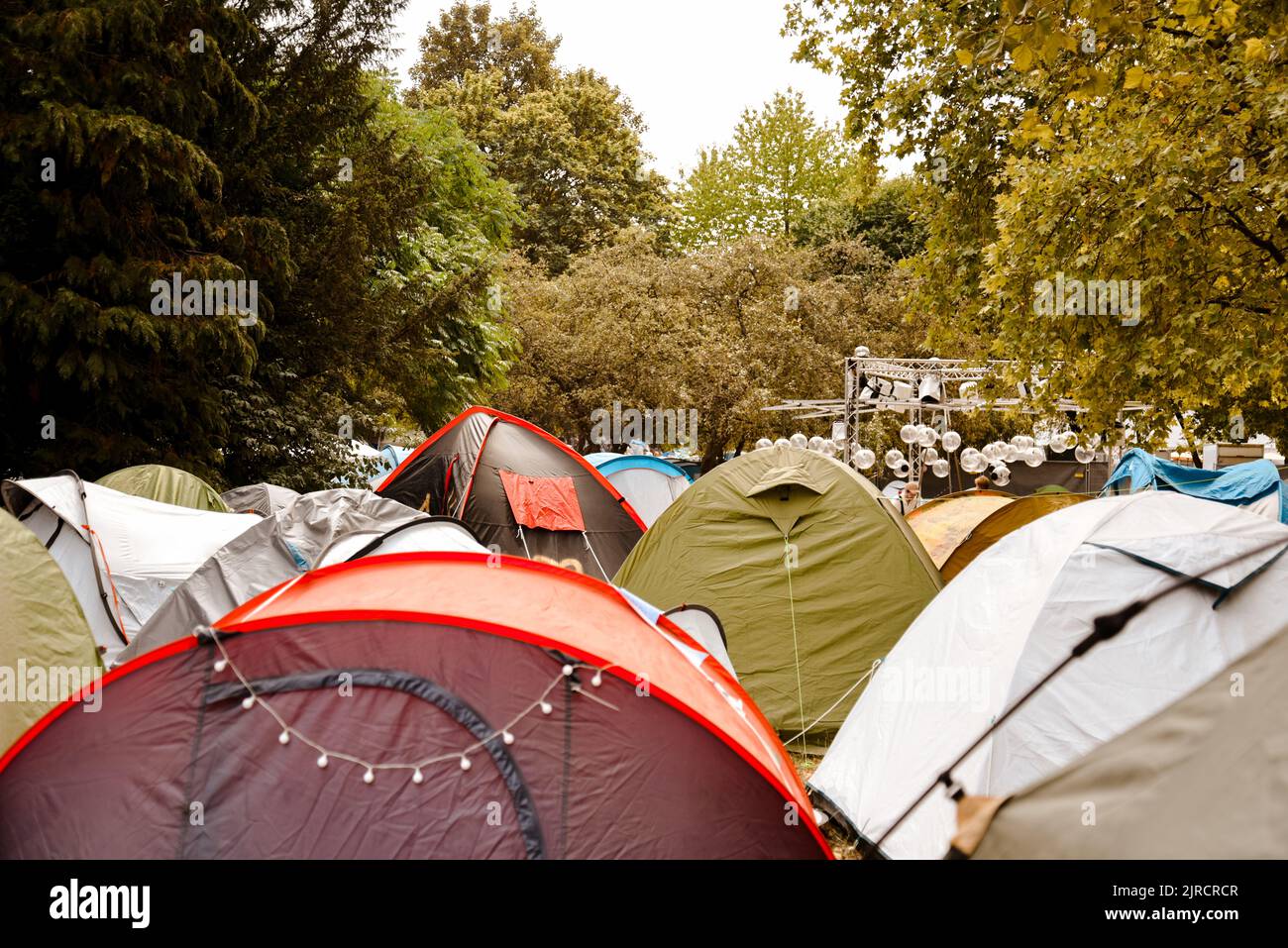 Tent camp in the forest, a lot of tents. Rest in the forest at the ...