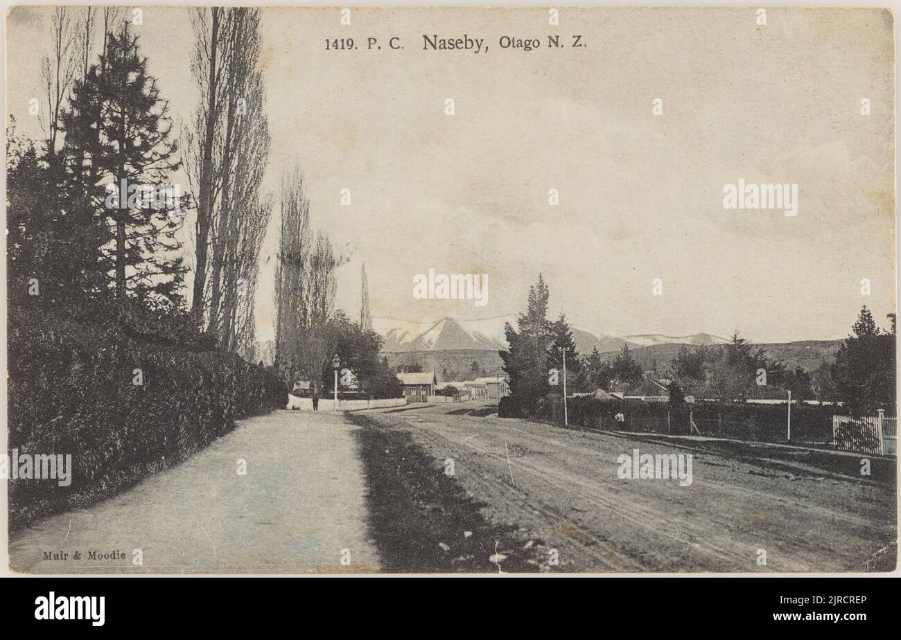 Naseby, Otago, New Zealand, 1905, Naseby, by Muir & Moodie Stock Photo ...