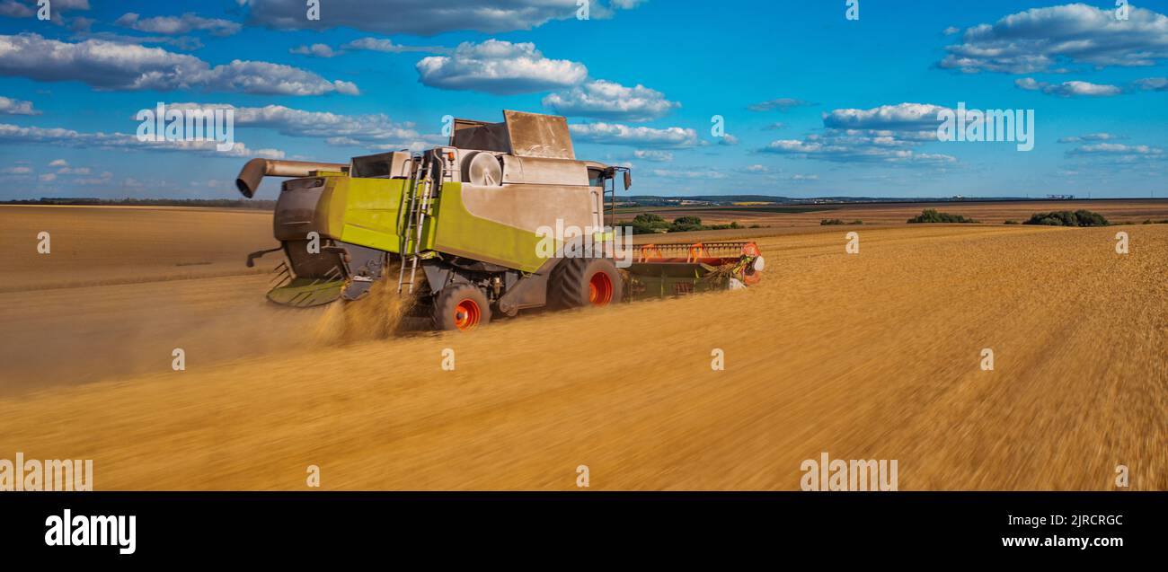 Ukrainian grain harvest. A combine harvester in the field collects ...